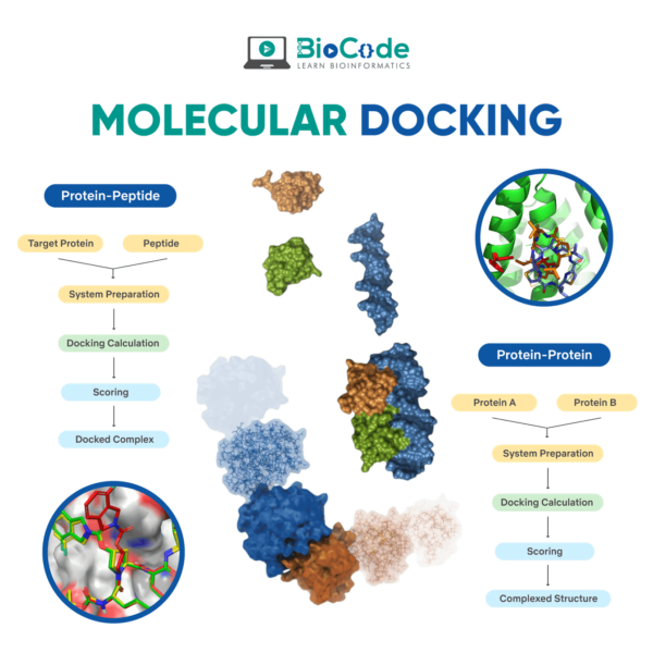Bioinformatics Analysis Services | BioCode