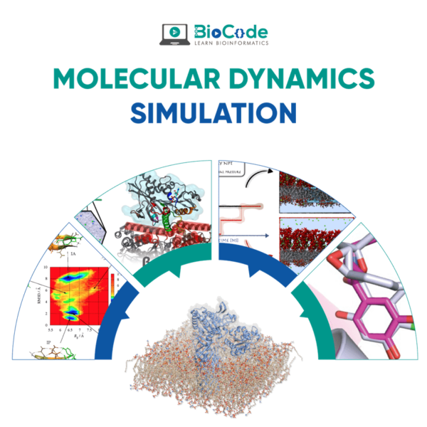 Bioinformatics Analysis Services | BioCode