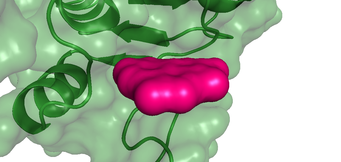 CompoundHunter: An Efficient Molecular Docking Service for Your Proteins | BioCode