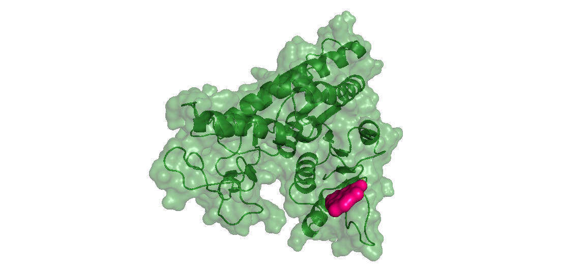 CompoundHunter: An Efficient Molecular Docking Service for Your Proteins – BioCode
