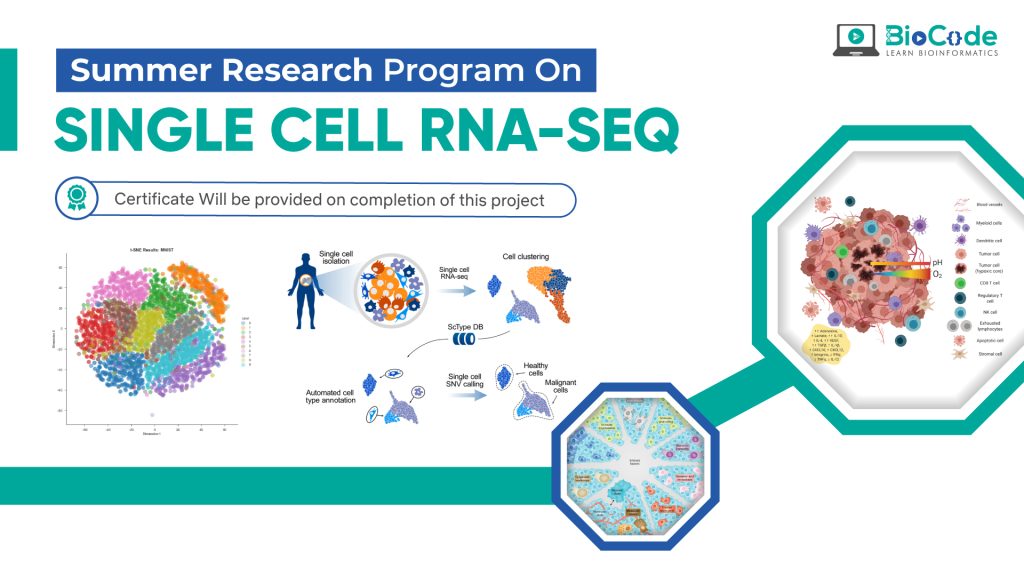 Workshop – BioCode