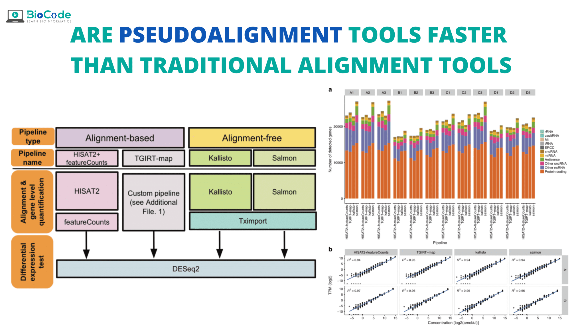 Are Psuedoalignment Tools Faster than Traditional Alignment Tools – BioCode
