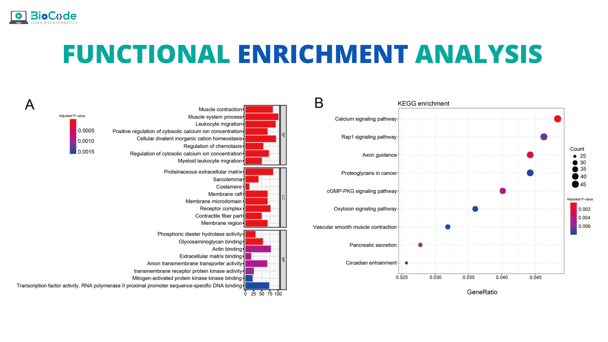 Functional Enrichment Analysis | BioCode