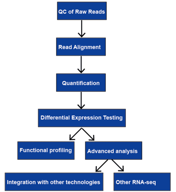 Decoding the Transcriptome: A Comprehensive Guide to RNA-seq Analysis and Applications | BioCode