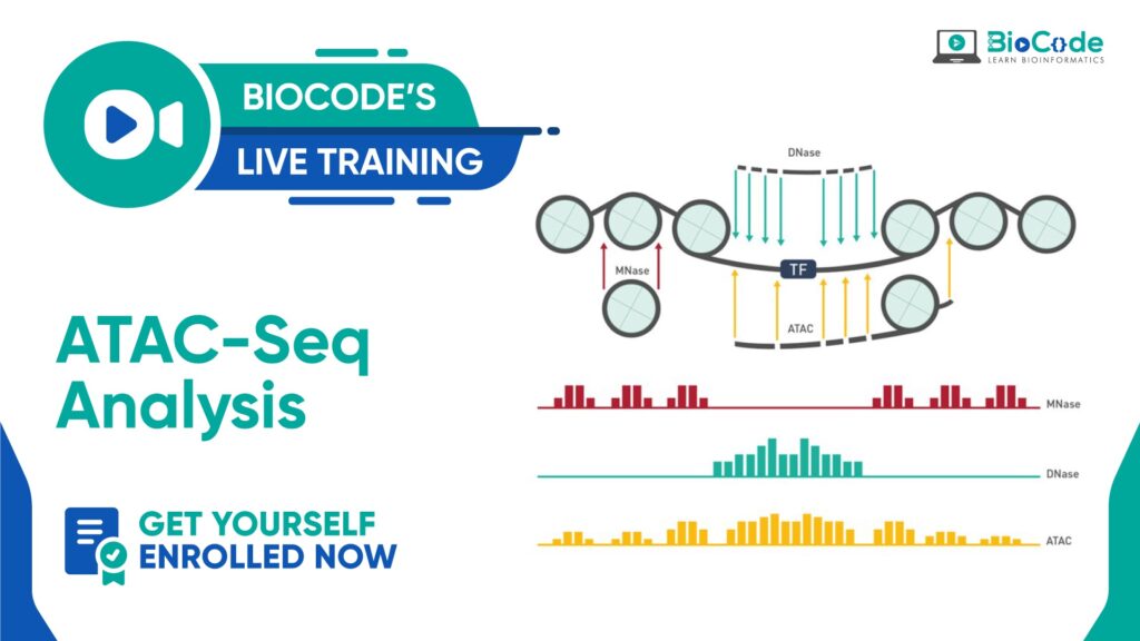 ATAC-Seq-Analysis – BioCode Learn. SaaS. Research